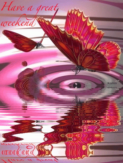 Animations, Reflection, Butterfly, Butterflies, Animated Graphics ...