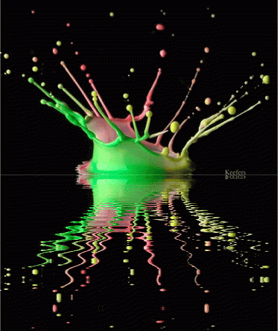 Animated Graphics. Animated Gif, Color Splash, Animated, Animated Gifs ...